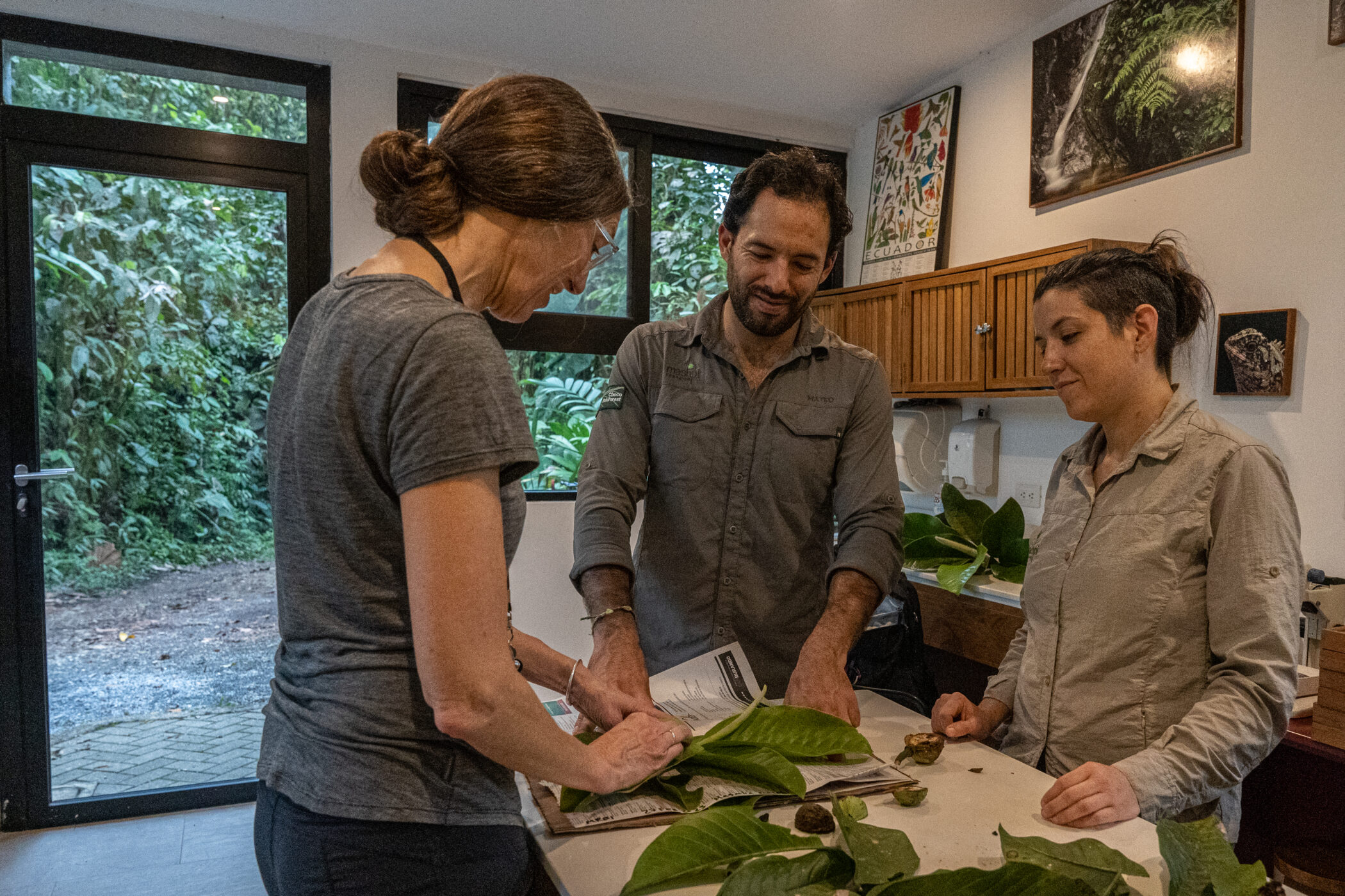 Mashpi Lodge ⋆ Globetrender