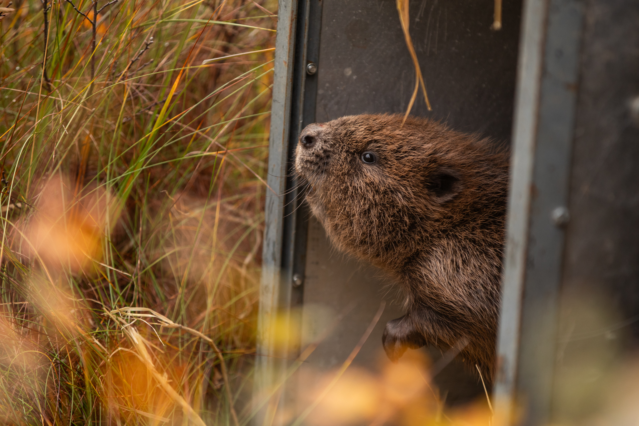 3E9A4447[16] (1) ⋆ Globetrender