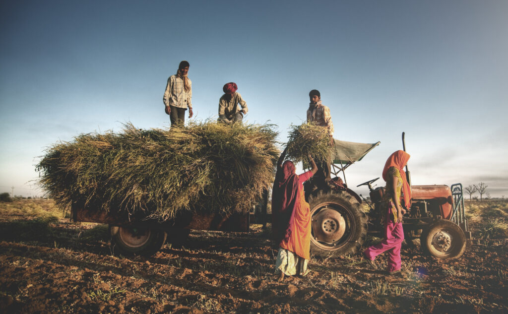 Farming in India ⋆ Globetrender