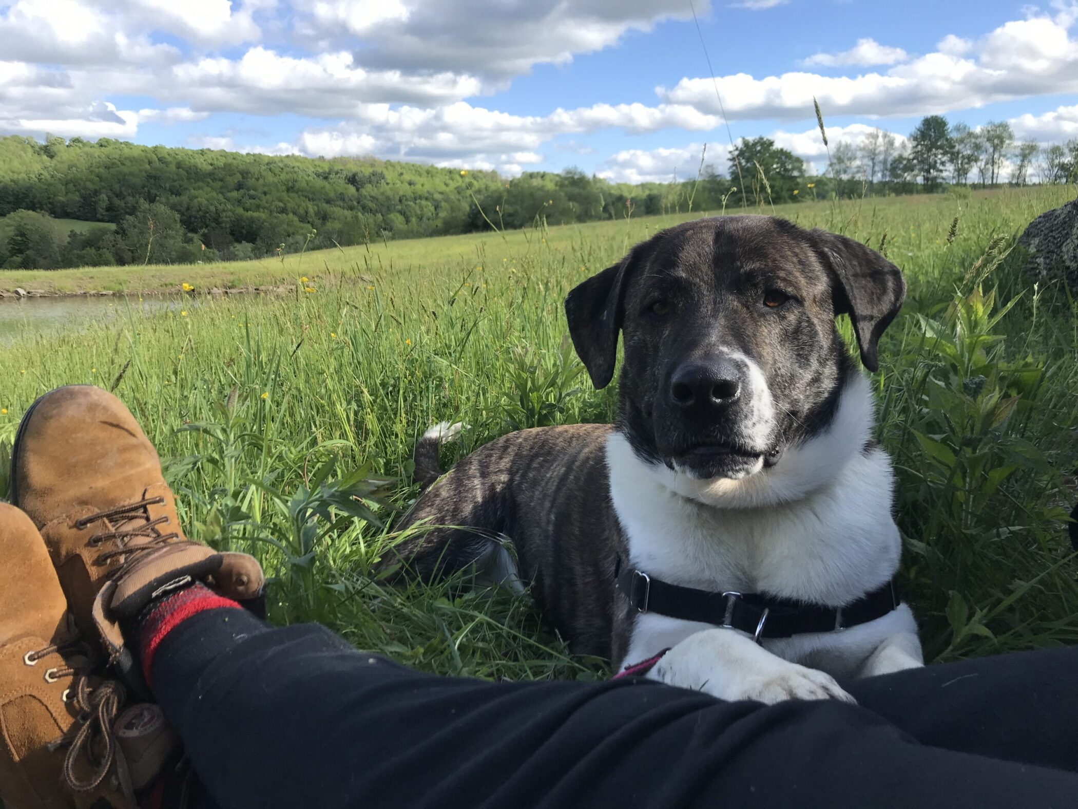 Upstate New York © Erica Jamieson ⋆ Globetrender