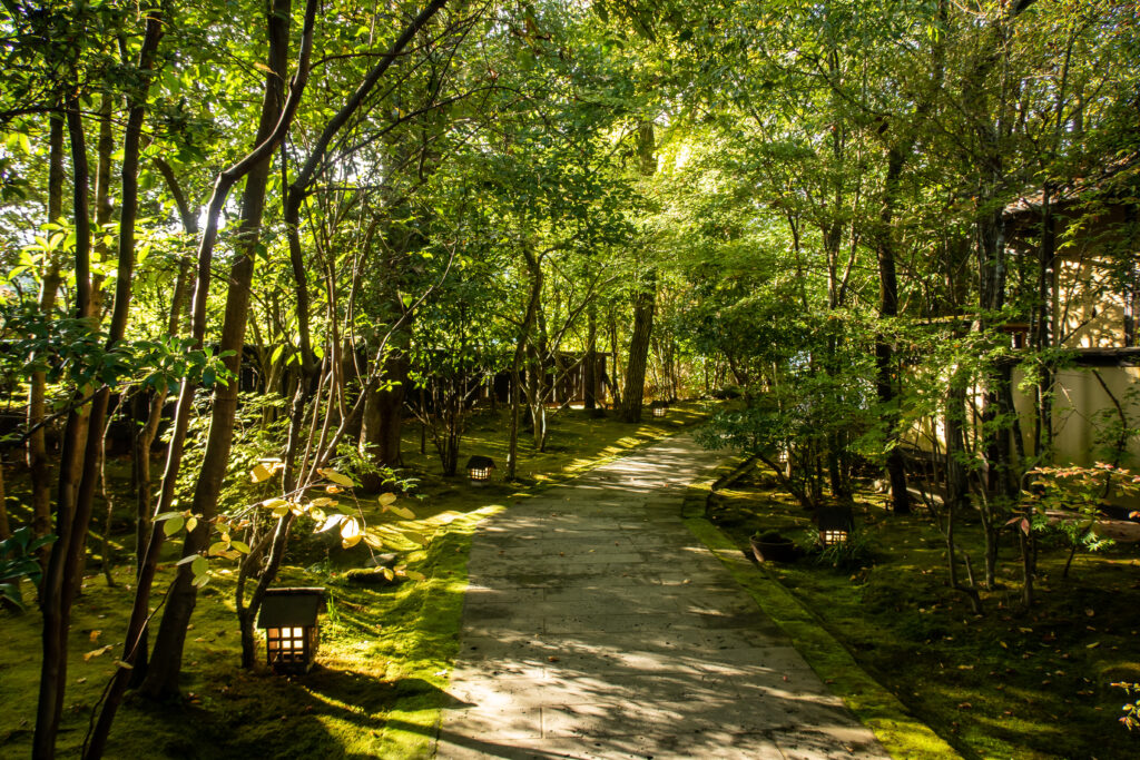 A winding illuminated paved path through a japanese park, with wooden ...