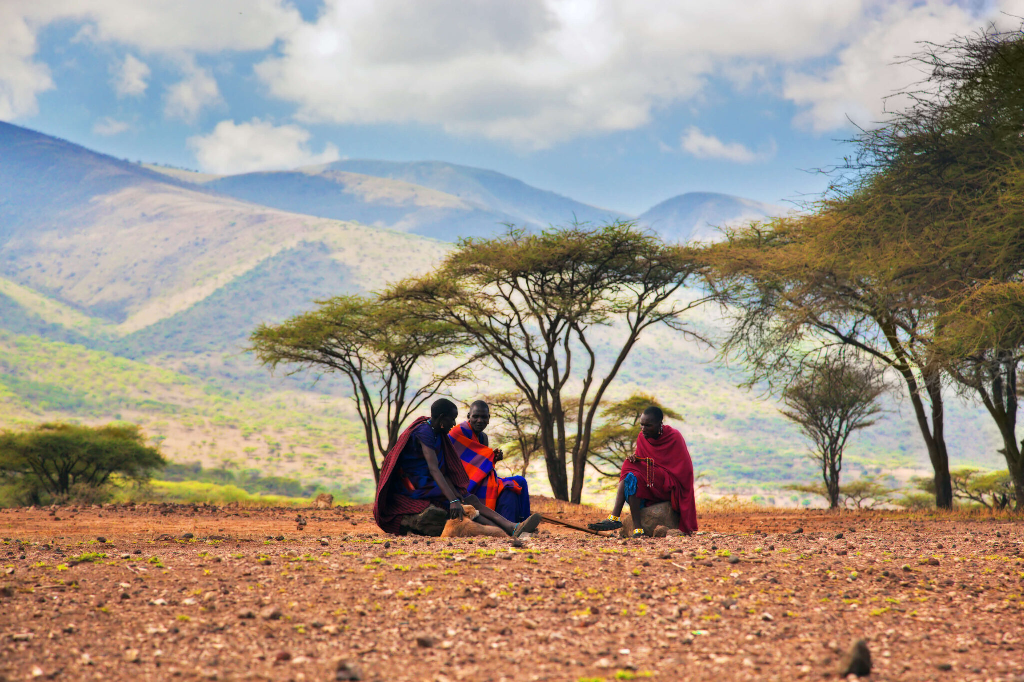 Adumu Safaris champions Maasai rights and equitable tourism