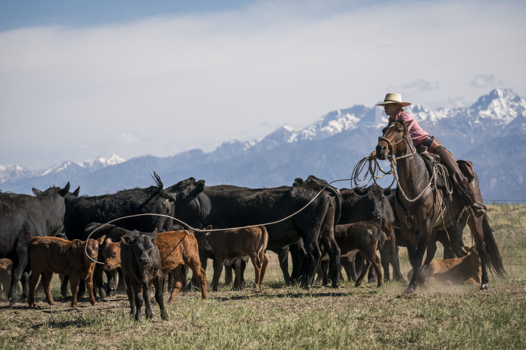Colorado's Zapata Ranch immerses guests in cowboy culture