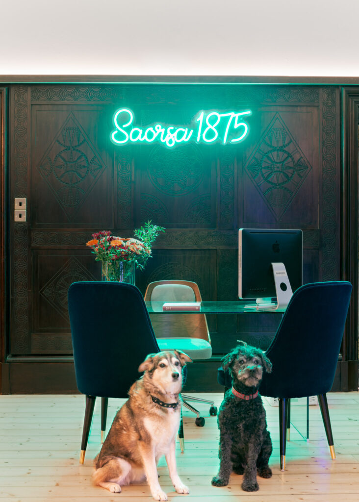 Review: Saorsa 1875 – the UK's first all-vegan hotel