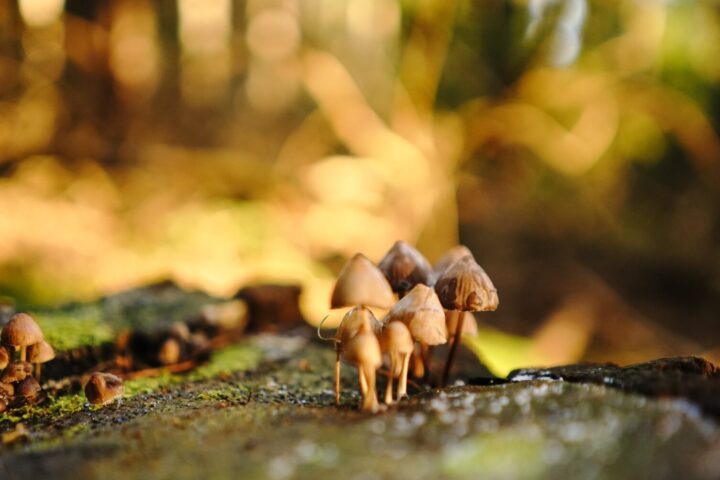 Aviation Archives - Globetrender