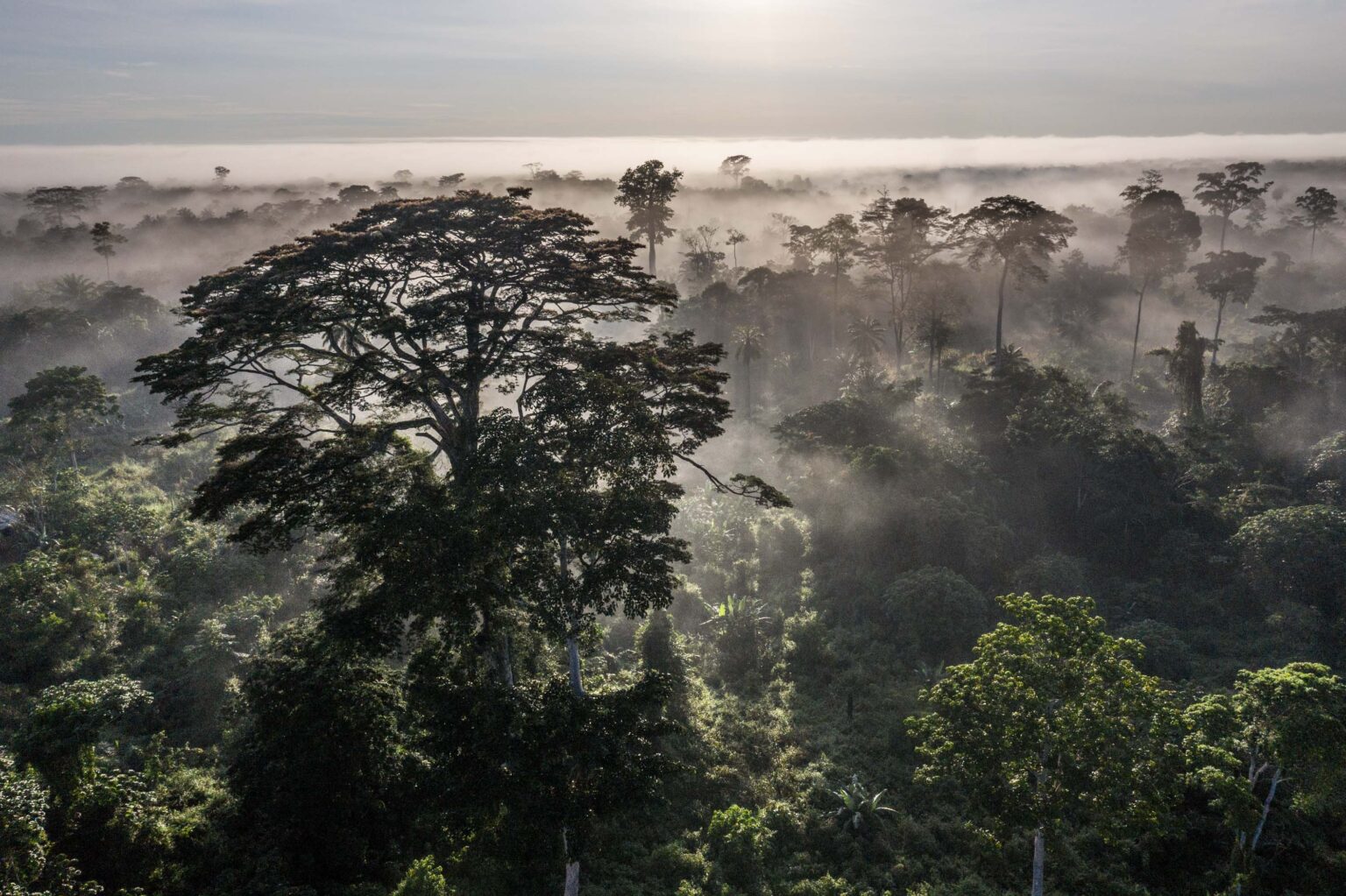 Bill Bensley to unveil Kozala Zamba Congo safari camp