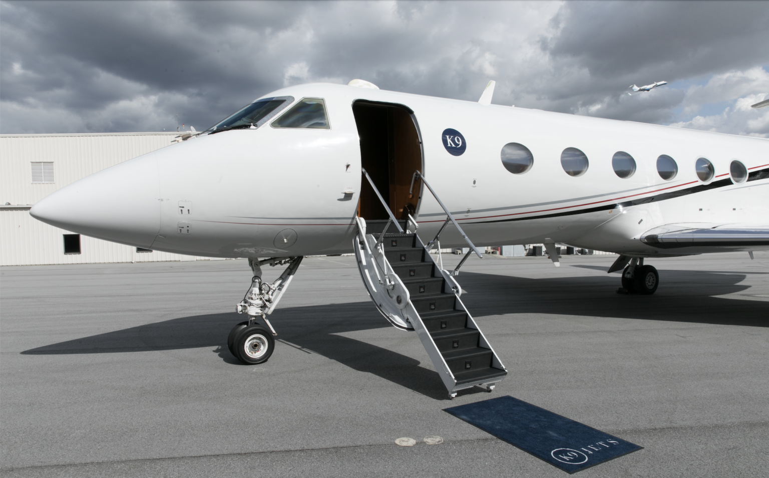 K9 Jets announces new pet-friendly routes for 2025