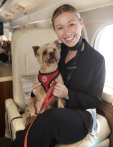 K9 Jets announces new pet-friendly routes for 2025