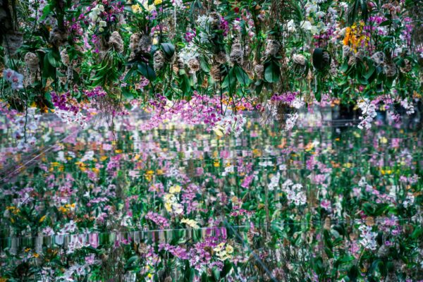 Tokyo's TeamLab Planets reopens after massive expansion