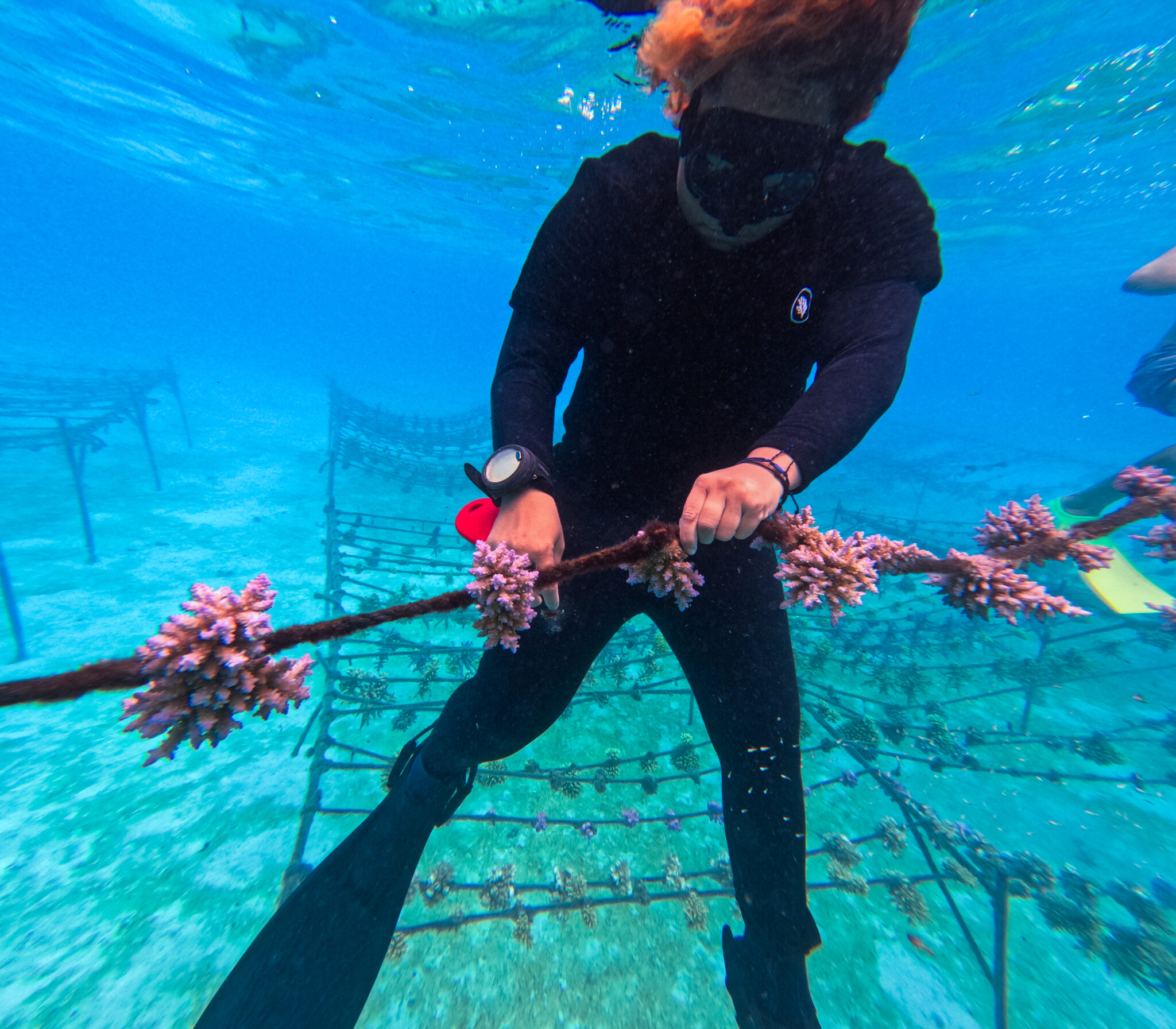 Fiji launches 'Loloma Hour': A new sustainable tourism initiative