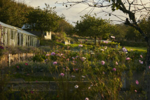 Fowlscombe Farm is a regenerative rural escape