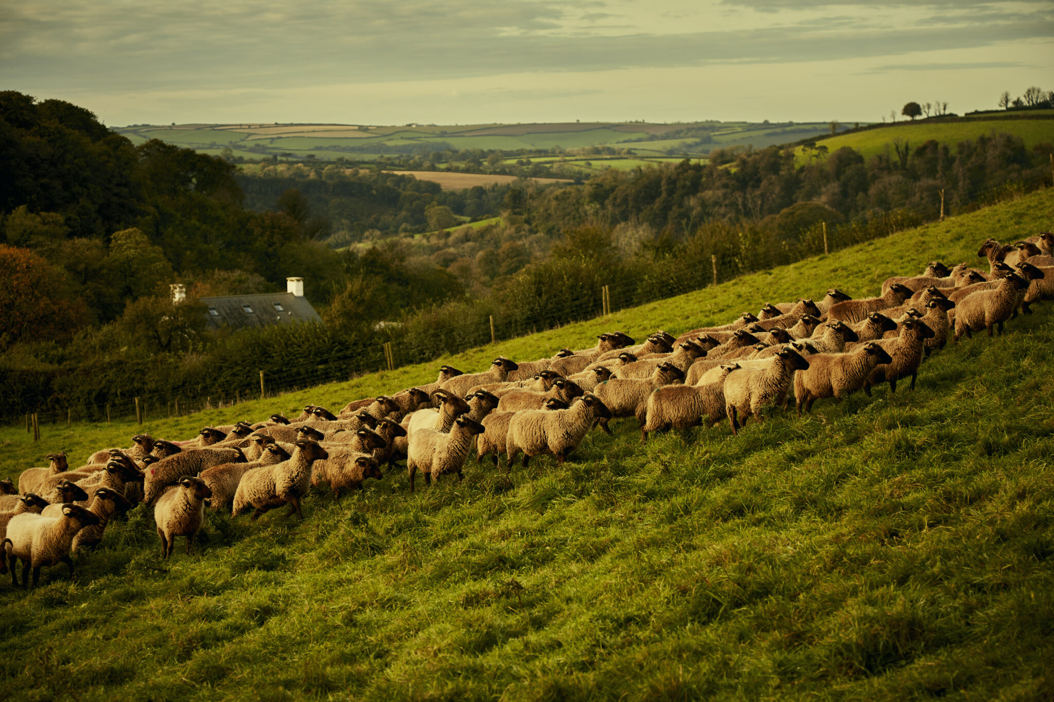 Fowlscombe Farm is a regenerative rural escape