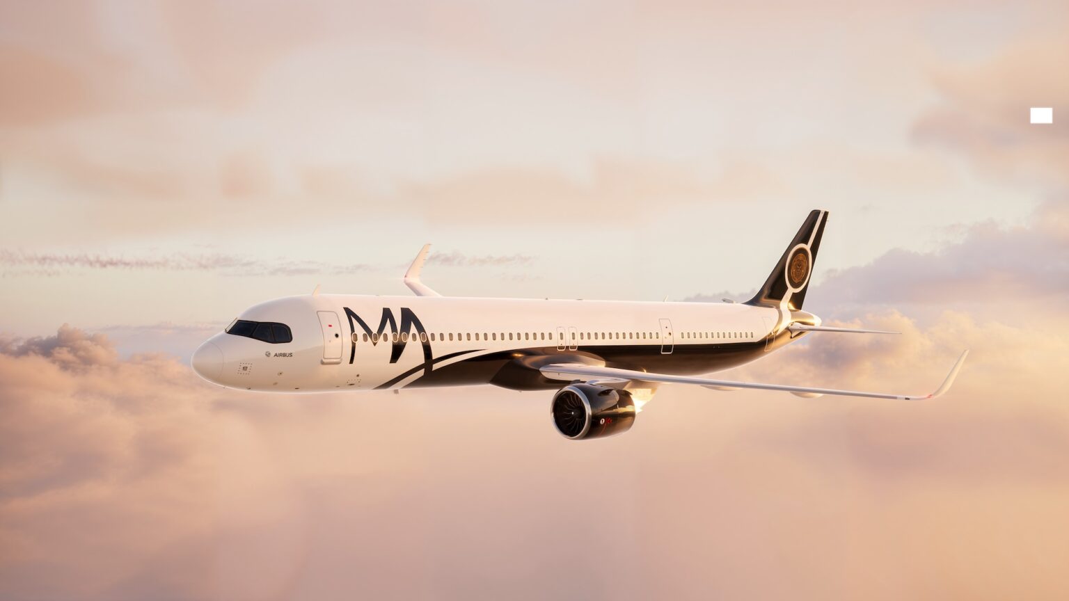 Magnifica Air is a new private jet-style airline