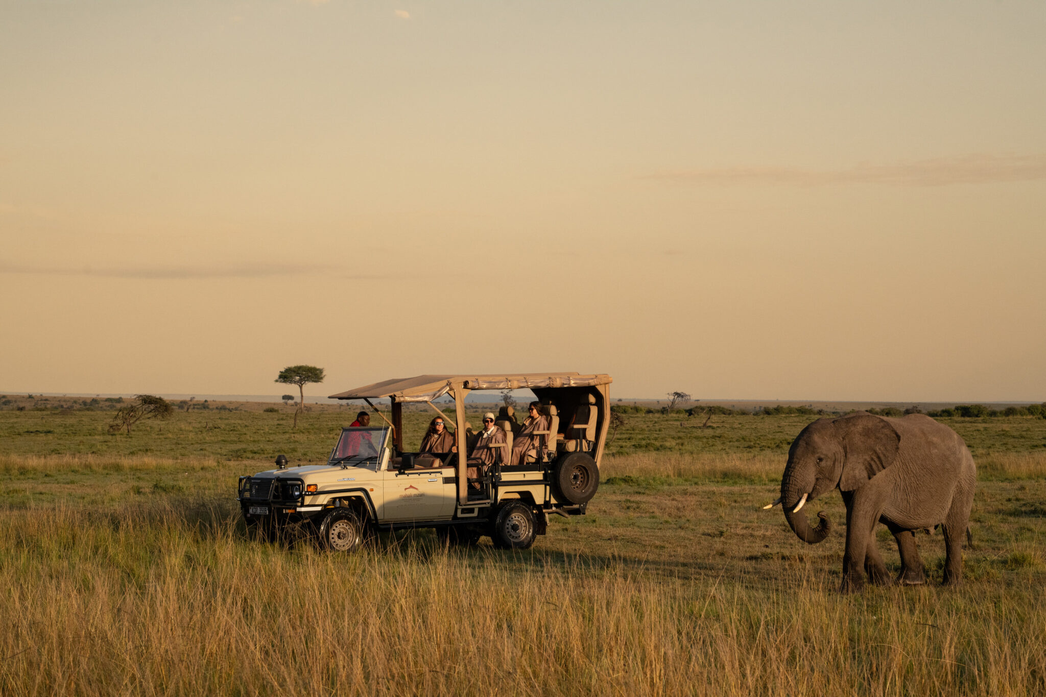 Loyalty points drive surge in ‘bucket list travel’ bookings